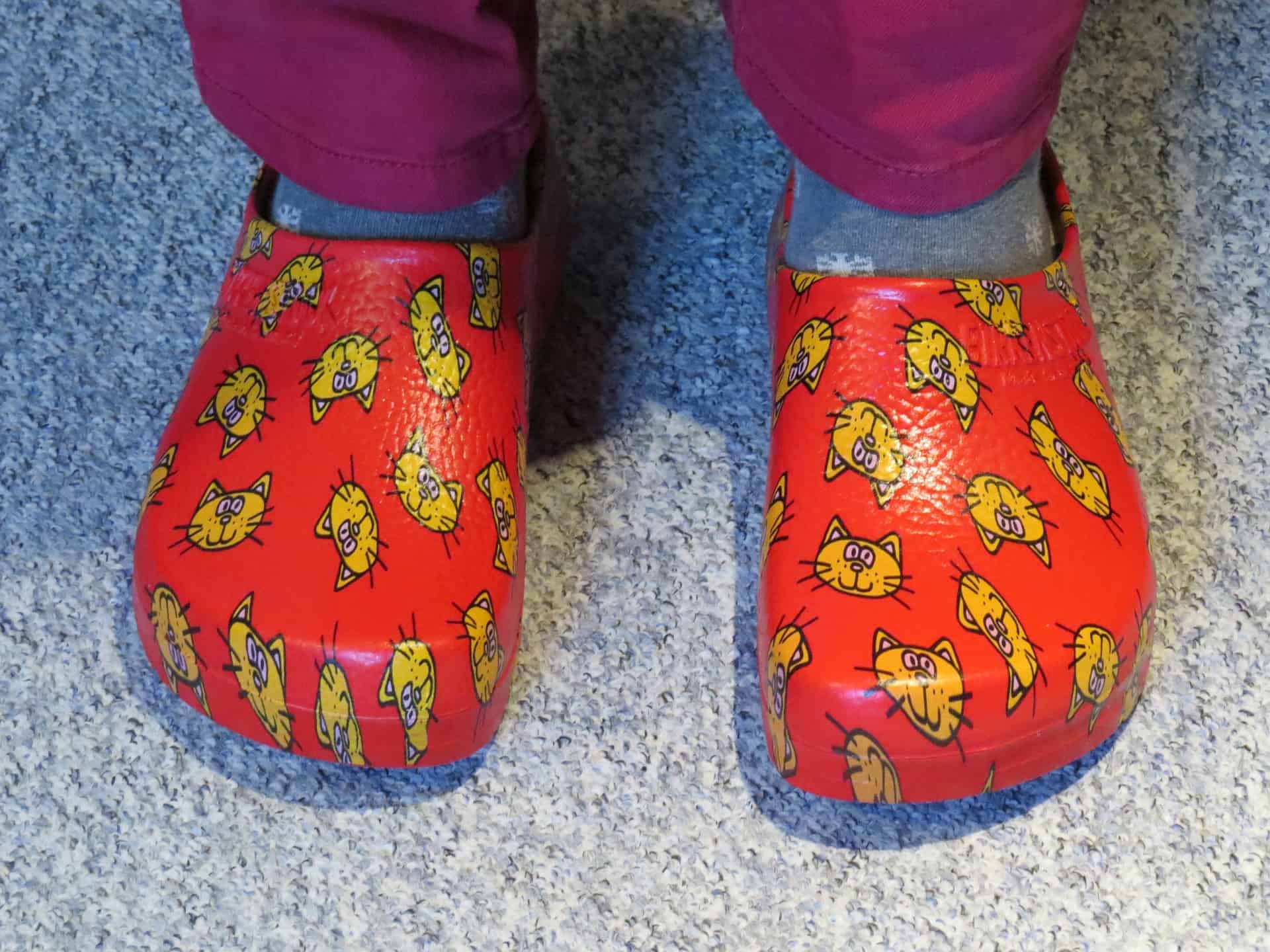 16 Types of Slippers (Differences, Color, Appearance)