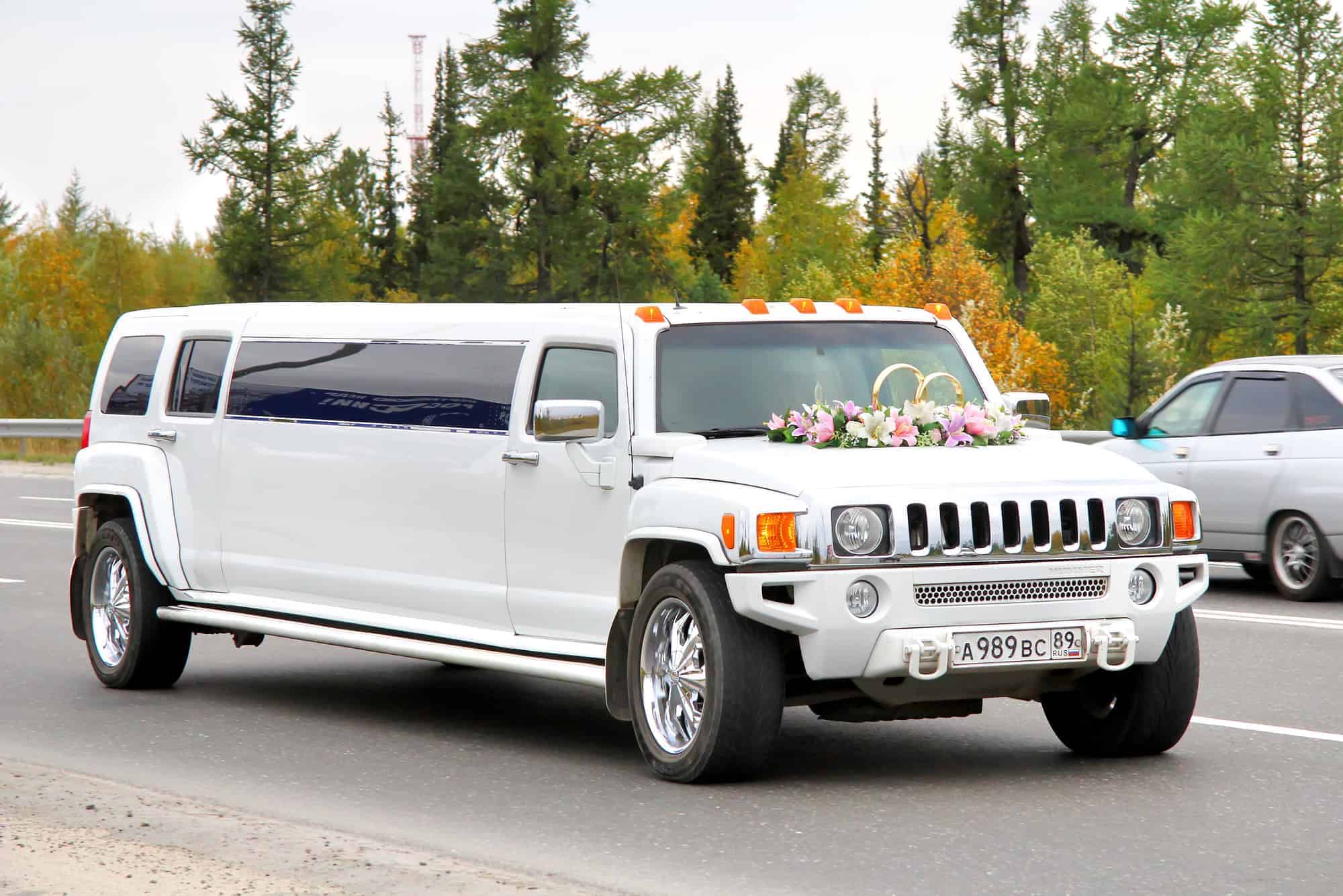 10 Different Types Of Limos (Some May Amaze You)