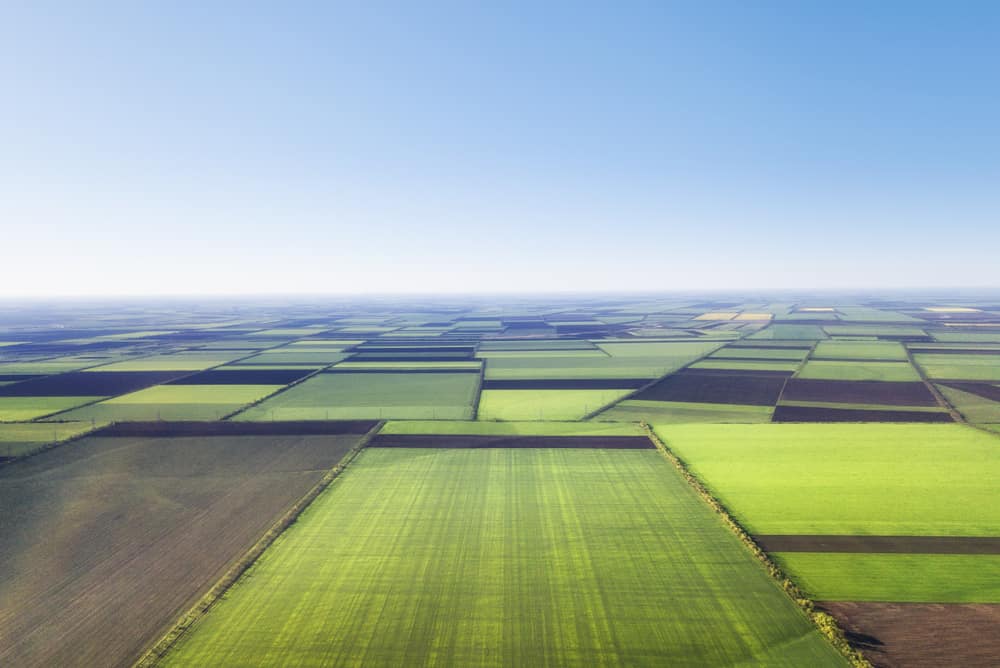 How Big Is 10 Acres? (With 10 Illustrated Examples)