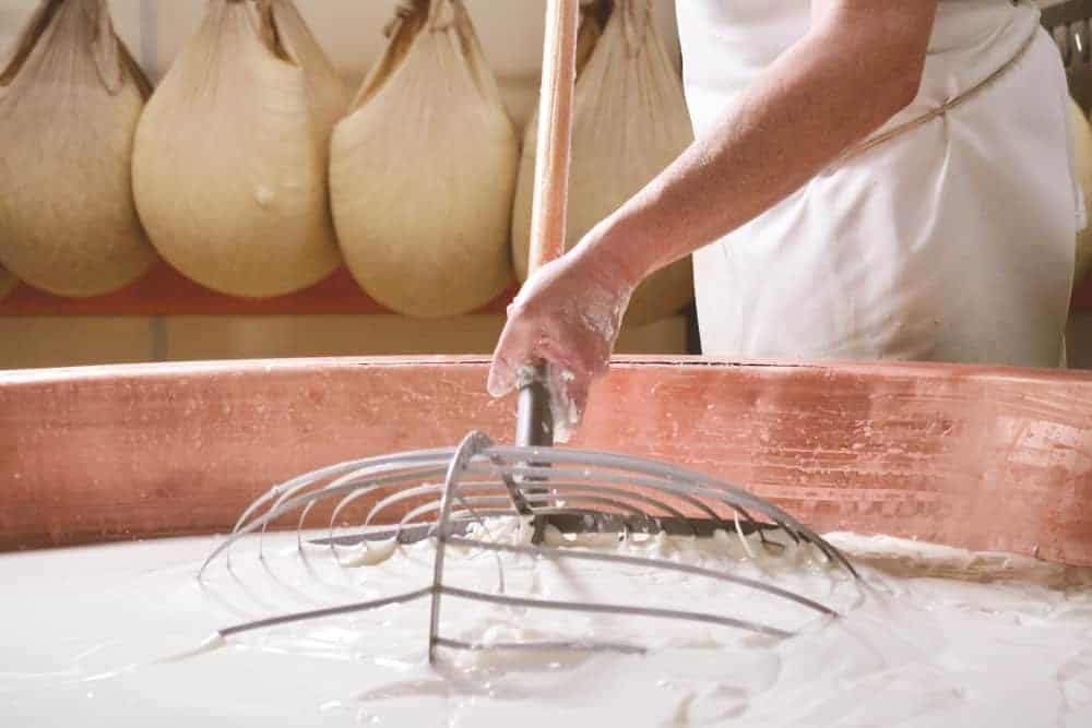 Why Is Parmesan Cheese So Expensive? (Top 10 Reasons)