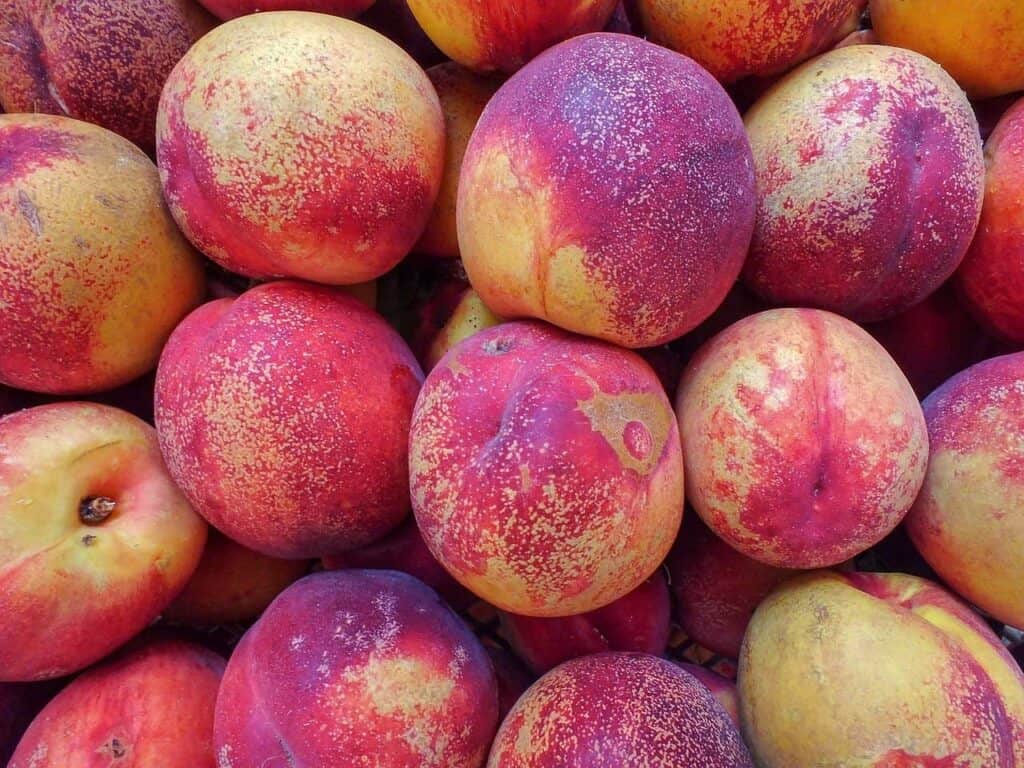 56 Types Of Nectarines (Differences, Size, Color, Appearance)