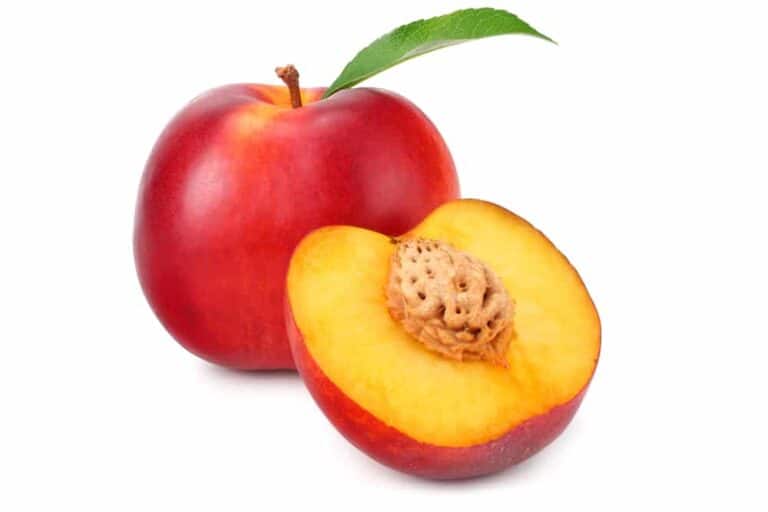 56 Types Of Nectarines (Differences, Size, Color, Appearance)