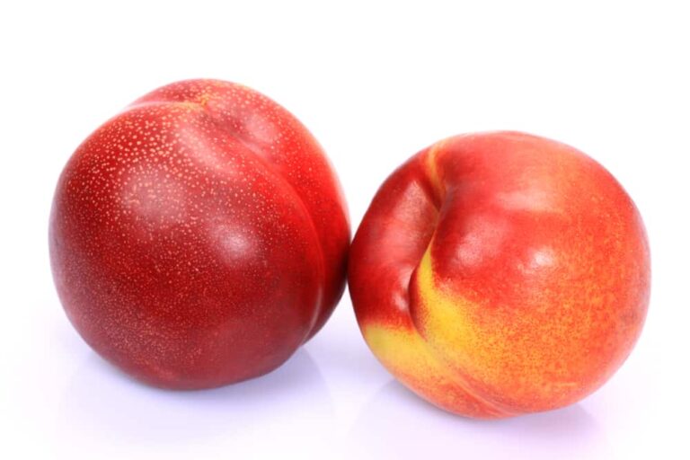 56 Types Of Nectarines (Differences, Size, Color, Appearance)
