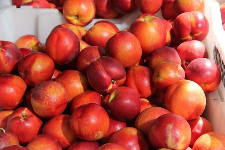 56 Types Of Nectarines (Differences, Size, Color, Appearance)