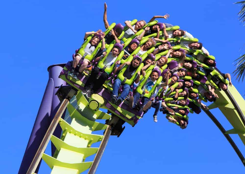 10 Types Of Roller Coasters (Differences, Videos)