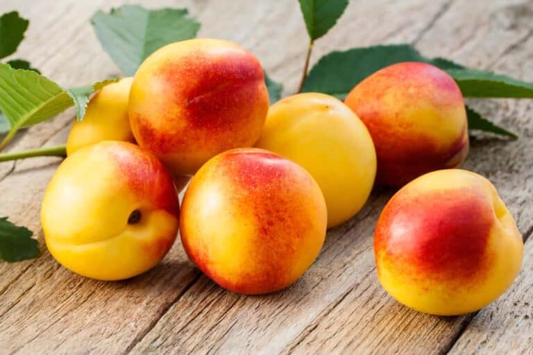 56 Types Of Nectarines (Differences, Size, Color, Appearance)