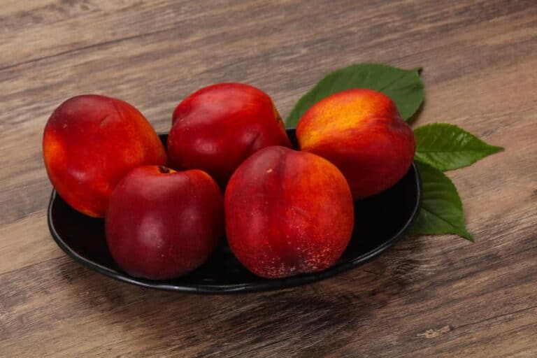 56 Types Of Nectarines (Differences, Size, Color, Appearance)