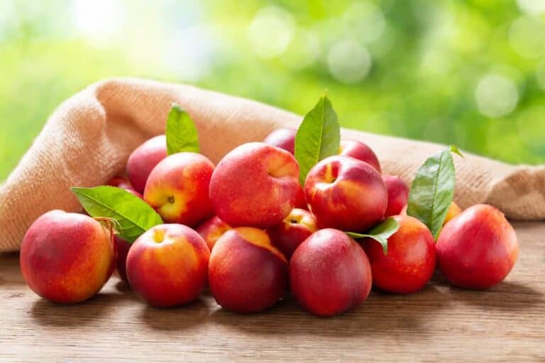 56 Types Of Nectarines (Differences, Size, Color, Appearance)