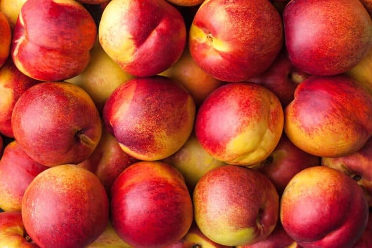 56 Types Of Nectarines (Differences, Size, Color, Appearance)