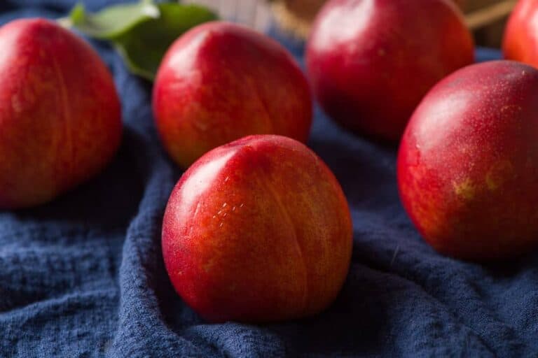 56 Types Of Nectarines (Differences, Size, Color, Appearance)