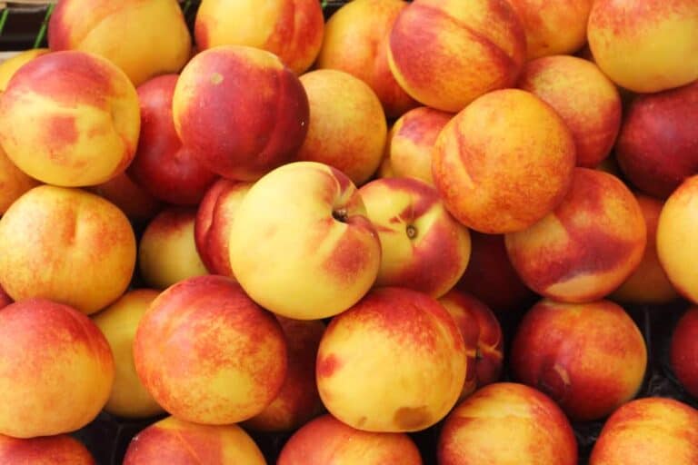 56 Types Of Nectarines (Differences, Size, Color, Appearance)