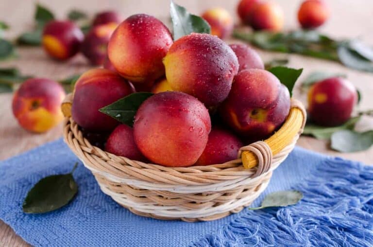 56 Types Of Nectarines (Differences, Size, Color, Appearance)