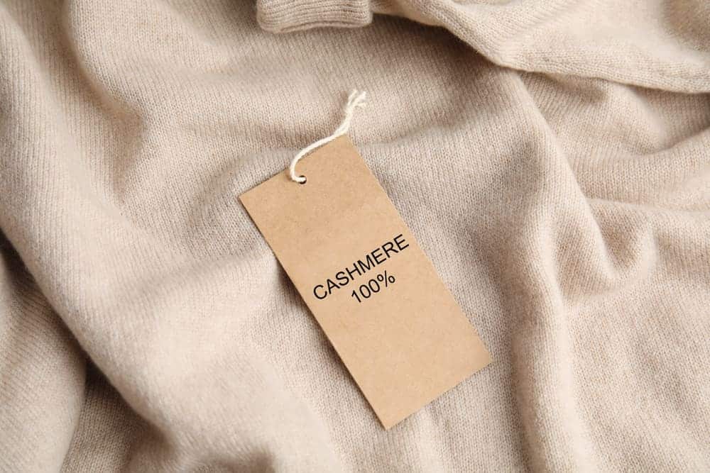 Why Is Cashmere So Expensive? (Top 12 Reasons)