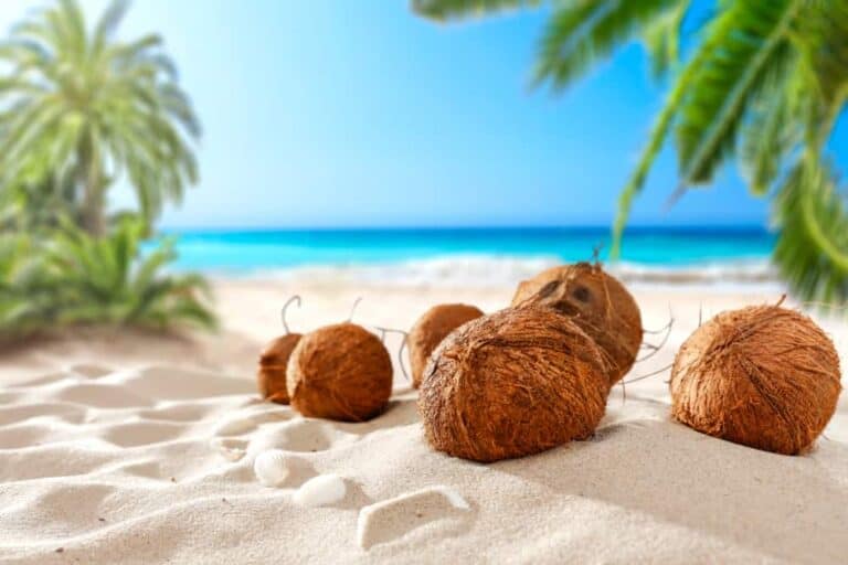 17 Types Of Coconuts (Differences, Size, Color, Appearance)