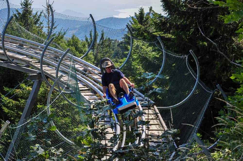 10 Types Of Roller Coasters (Differences, Videos)