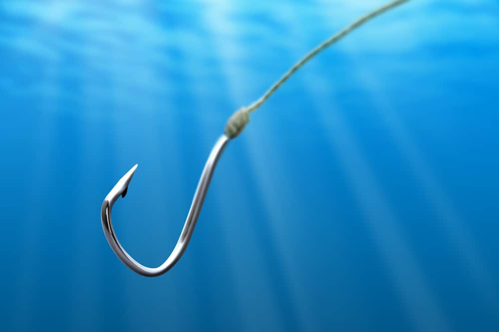 Do Fish Hooks Dissolve? (Everything To Know)