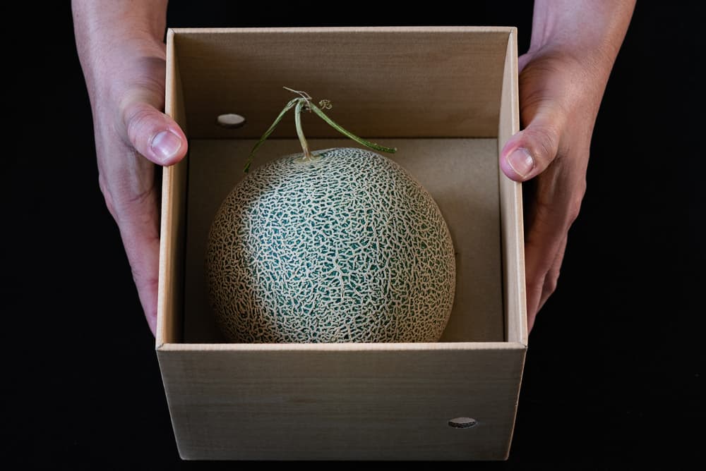 Why is Yubari King Melon So Expensive? (Top 10 Reasons)