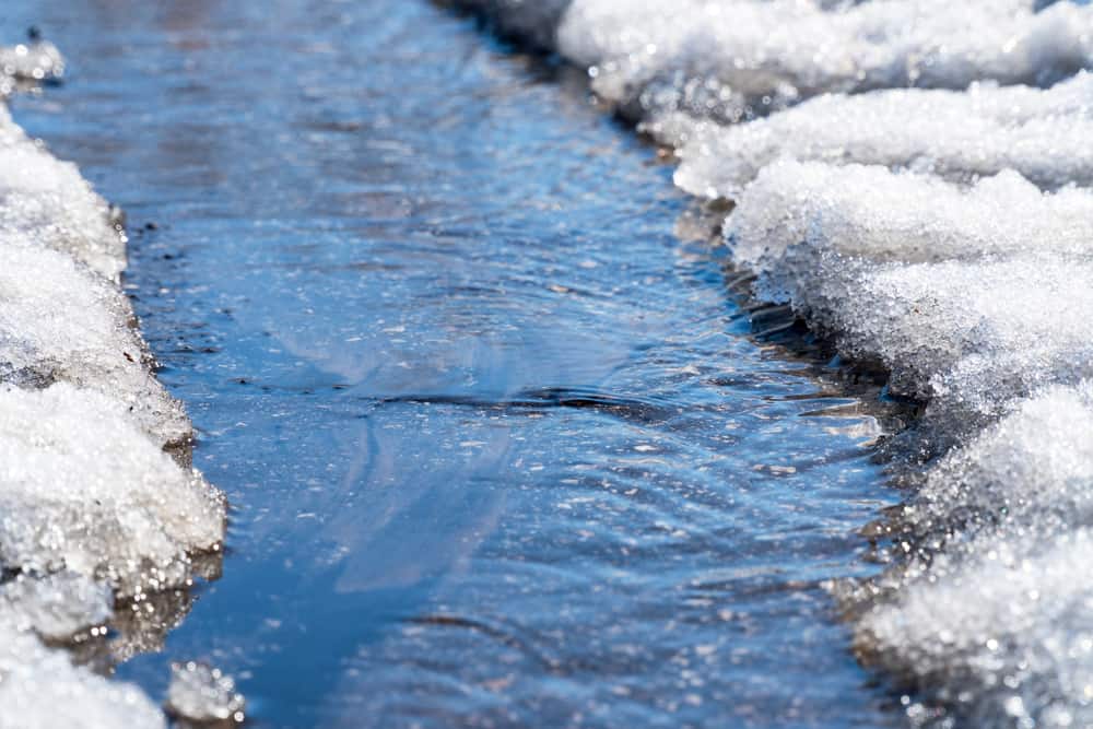 Does Rain Melt Snow? (Explained)