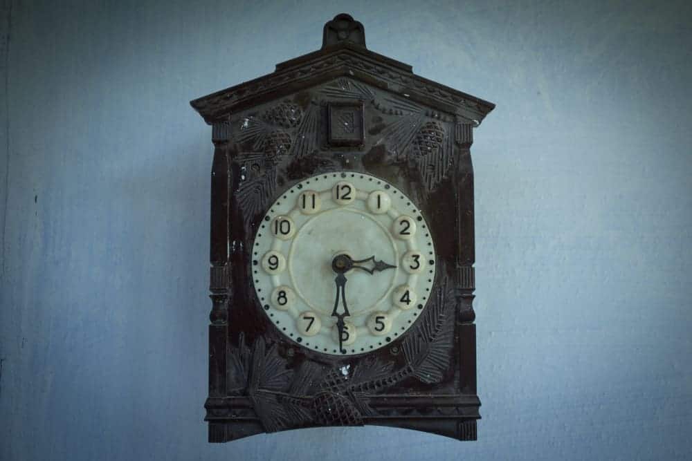 Why Are Cuckoo Clocks So Expensive? (10 Reasons)