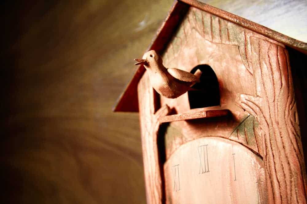 Why Are Cuckoo Clocks So Expensive? (10 Reasons)