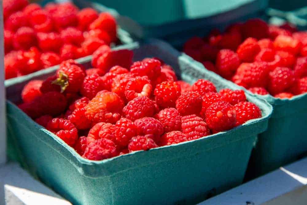 Why Are Raspberries So Expensive? (10 Reasons)