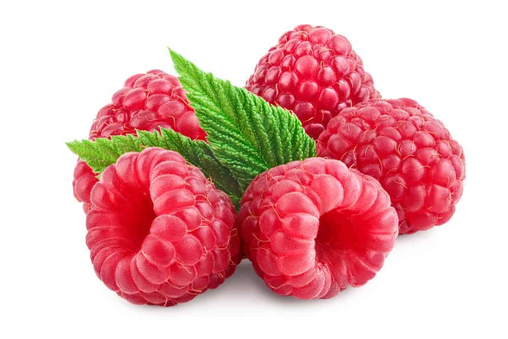 Why Are Raspberries So Expensive? (10 Reasons)