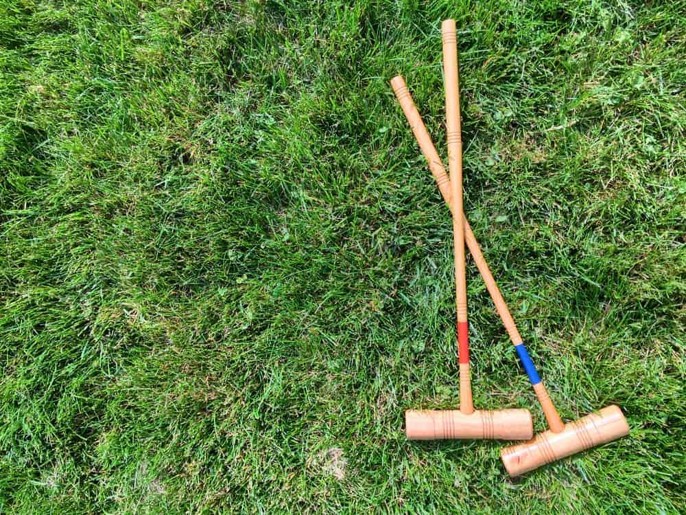 Why Are Croquet Sets So Expensive? (10 Reasons)