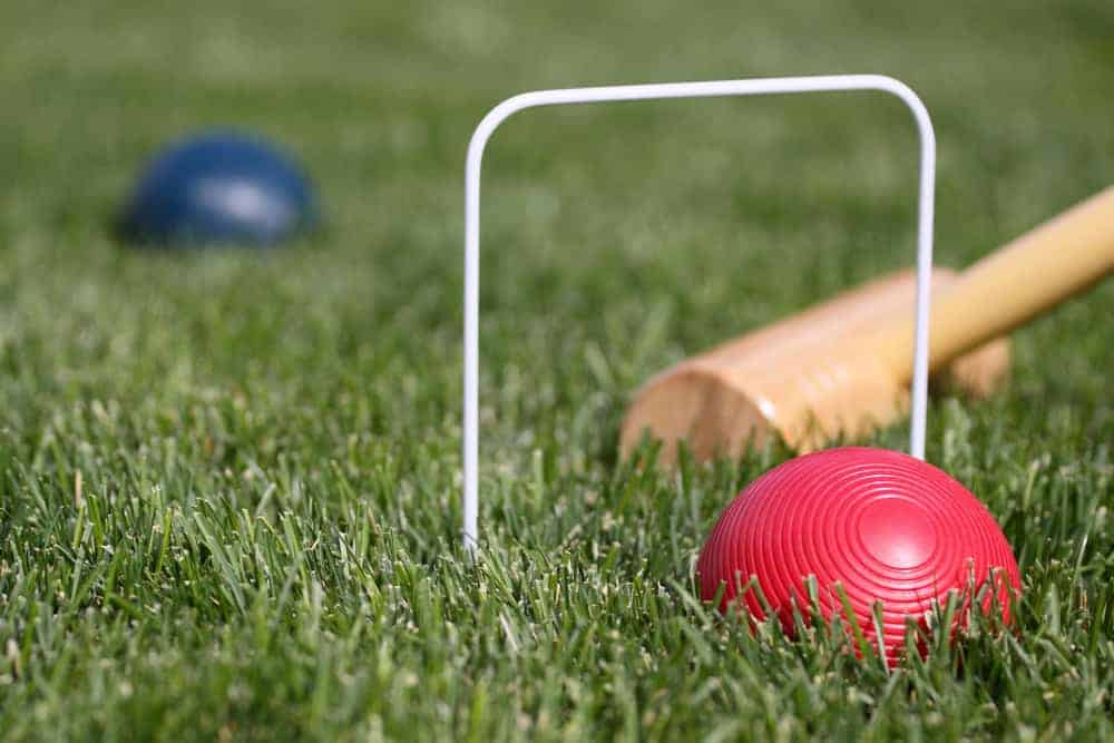 Why Are Croquet Sets So Expensive? (10 Reasons)