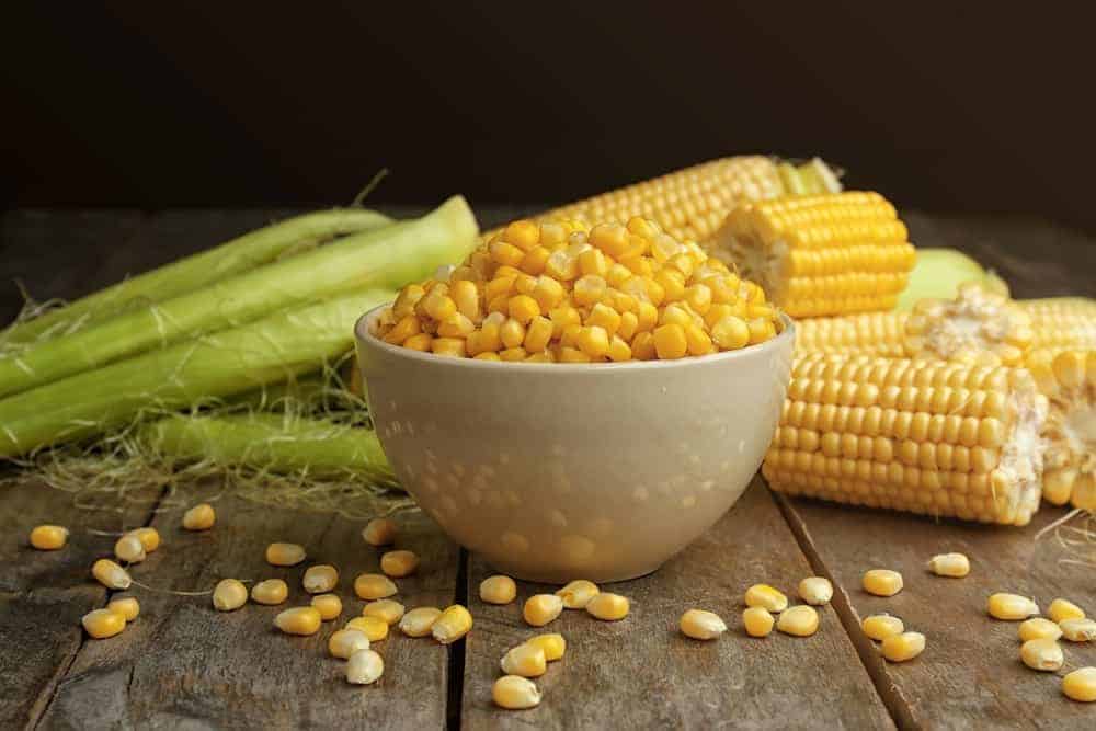 Why Is Corn So Expensive? (10 Reasons)