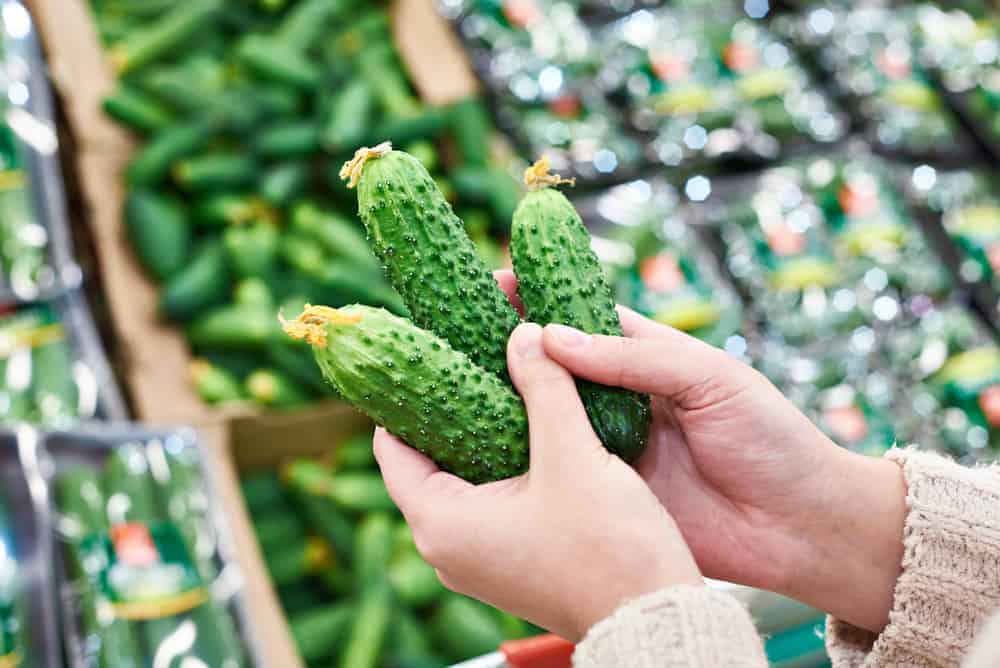 Why Are Pickles So Expensive? (10 Reasons)