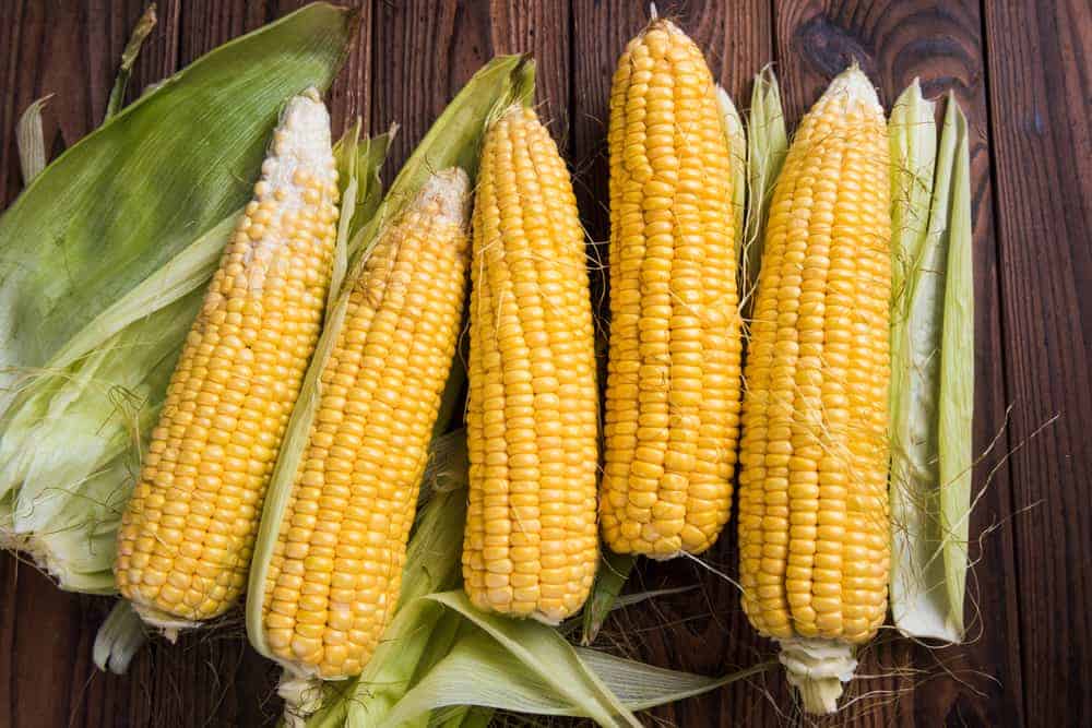Why Is Corn So Expensive? (10 Reasons)